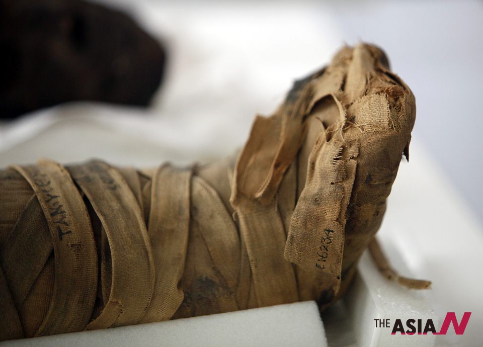 Penn Museum Installs Artifact Lab To Repair Egyptian Human, Animal ...