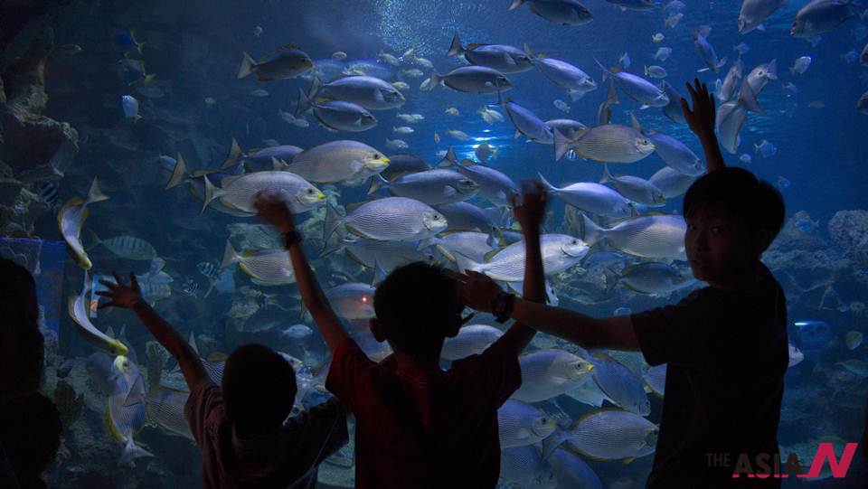 Children Delighted Watching Fish At An Aquarium In Kuala Lumpur - THE AsiaN