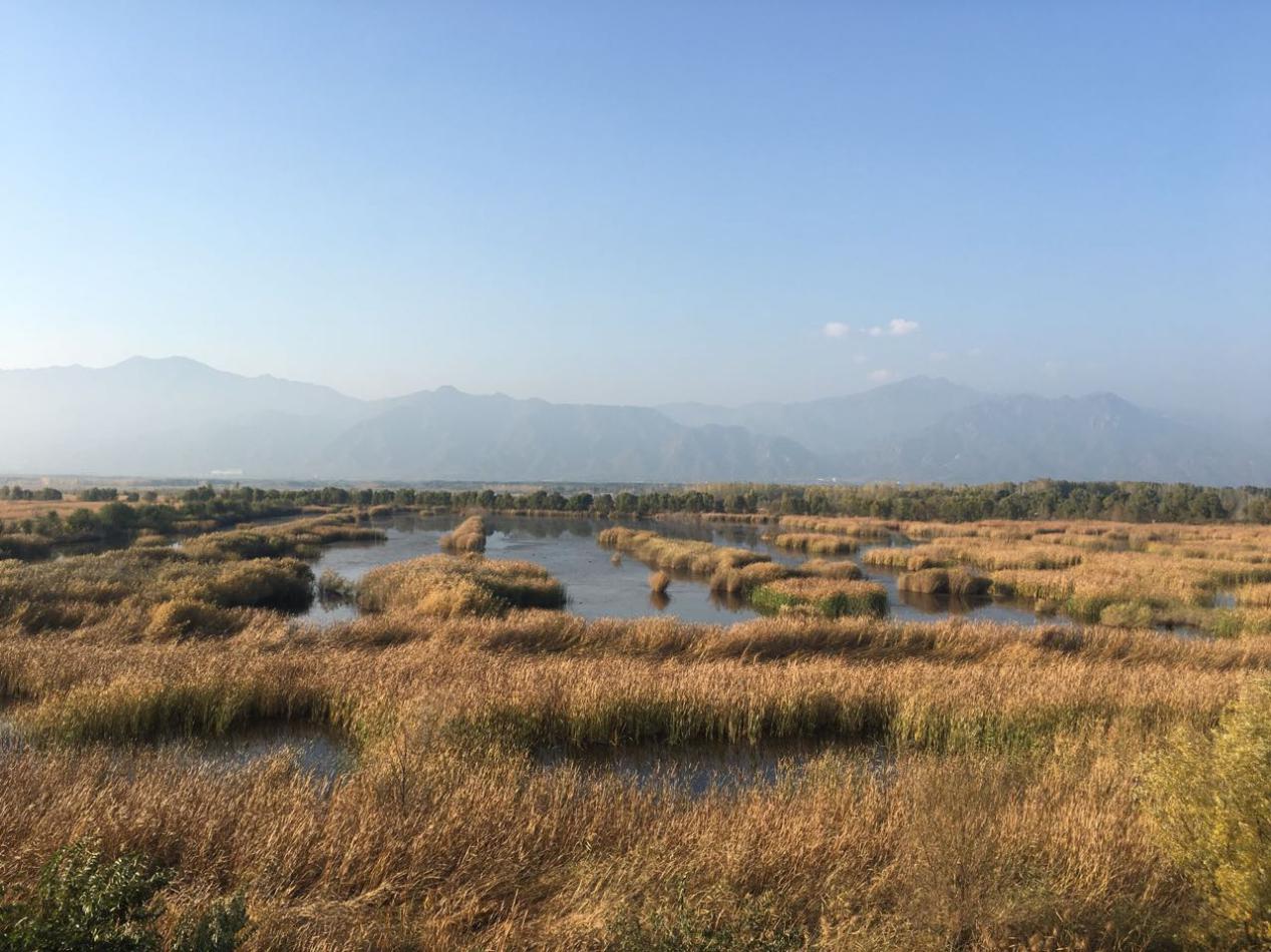 Efforts to beautify China get thumbs up - THE AsiaN