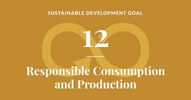 The ABCs of Sustainable Development Goals and Sudan’s situation XIII ...